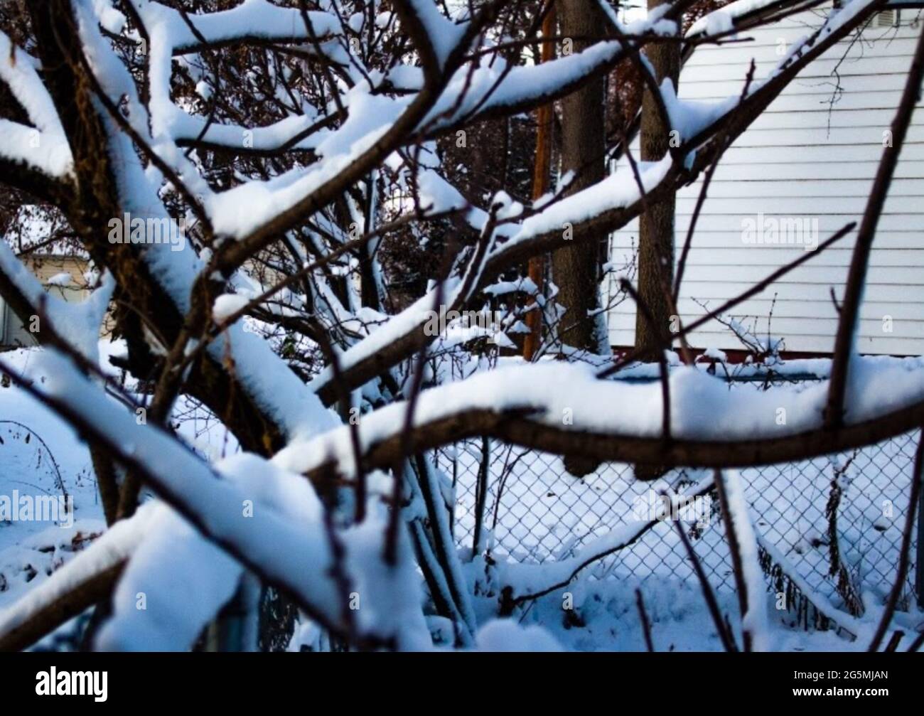 Heavy vines hi-res stock photography and images - Alamy