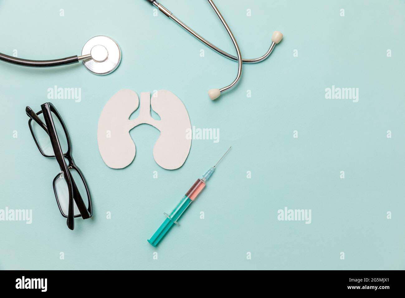 Lung Health Therapy Medical Concept Lungs Symbol Model Stethoscope