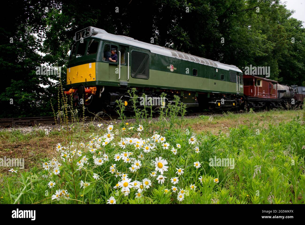 Class 25 Diesel Locomotive D7612 on the Watercress Line, Mid Hants ...