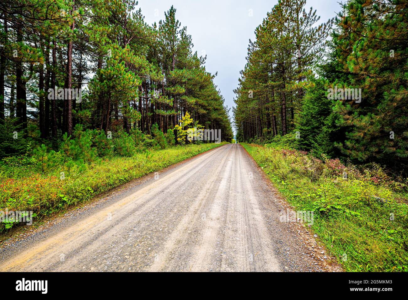 Wide angle road hi-res stock photography and images - Alamy