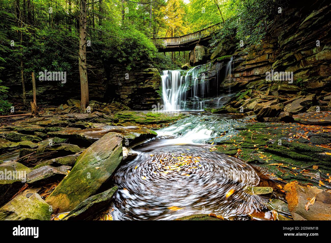 Elakala waterfall in Blackwater Falls state park in West Virginia in ...