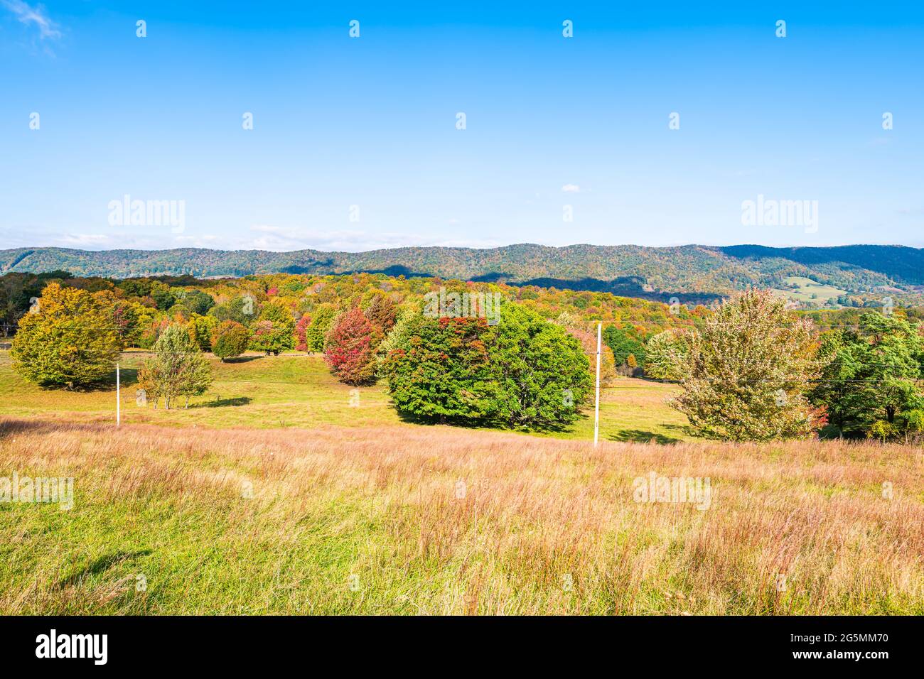 Autumn fall season and red colorful maple trees landscape view in Blue ...