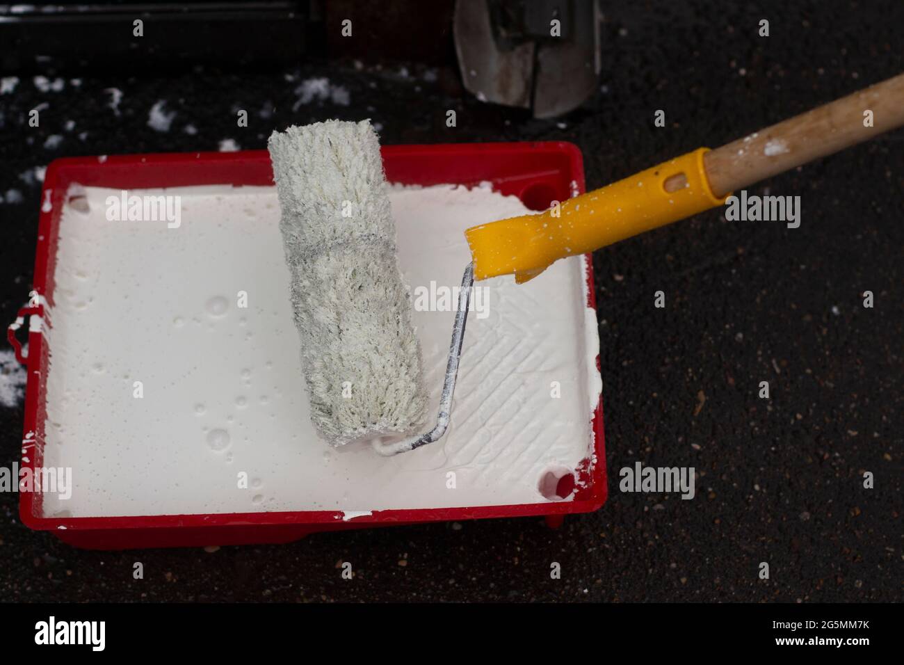 White paint in the container. Roller with paint to paint the wall Stock ...