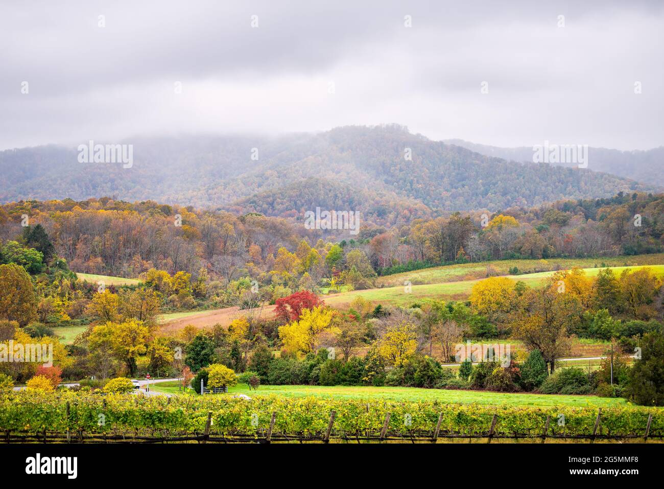 Autumn fall orange foliage season rural countryside landscape at ...