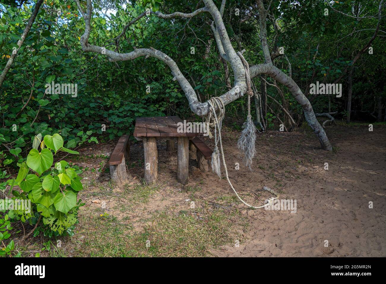 Seating Under A Tree High Resolution Stock Photography and Images - Alamy