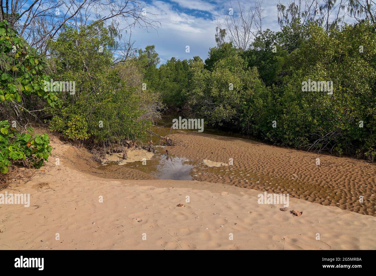 Coastal vegetation along a shallow creek bed with dunes under a cloudy ...