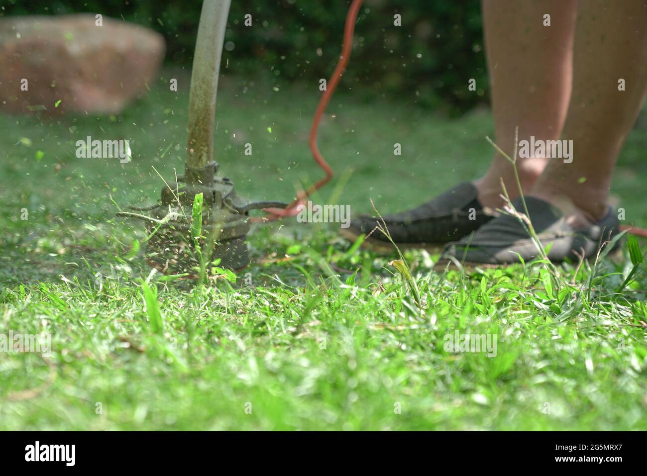 Grass cutting. Man using grass trimmer to mow lawn. Close up, defocused ...