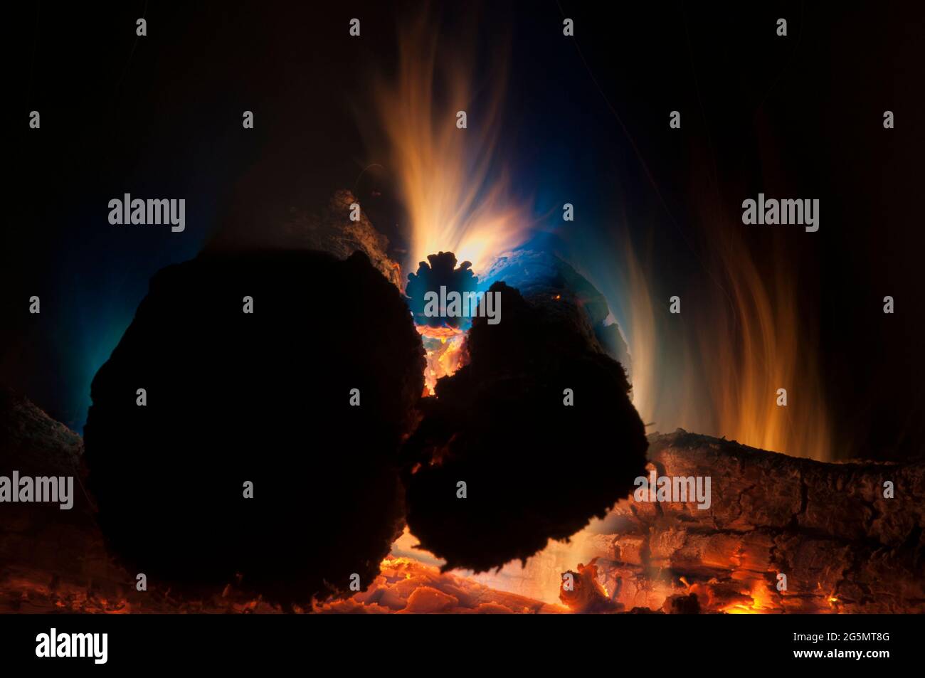 Blue fire pine cone. Campfire with colored flame treated pine cone ...