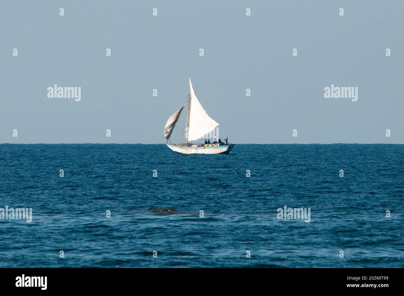 Small crew big boat hi-res stock photography and images - Alamy