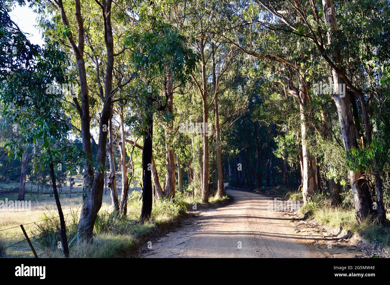 A road in the Megalong Valley of Australia Stock Photo - Alamy