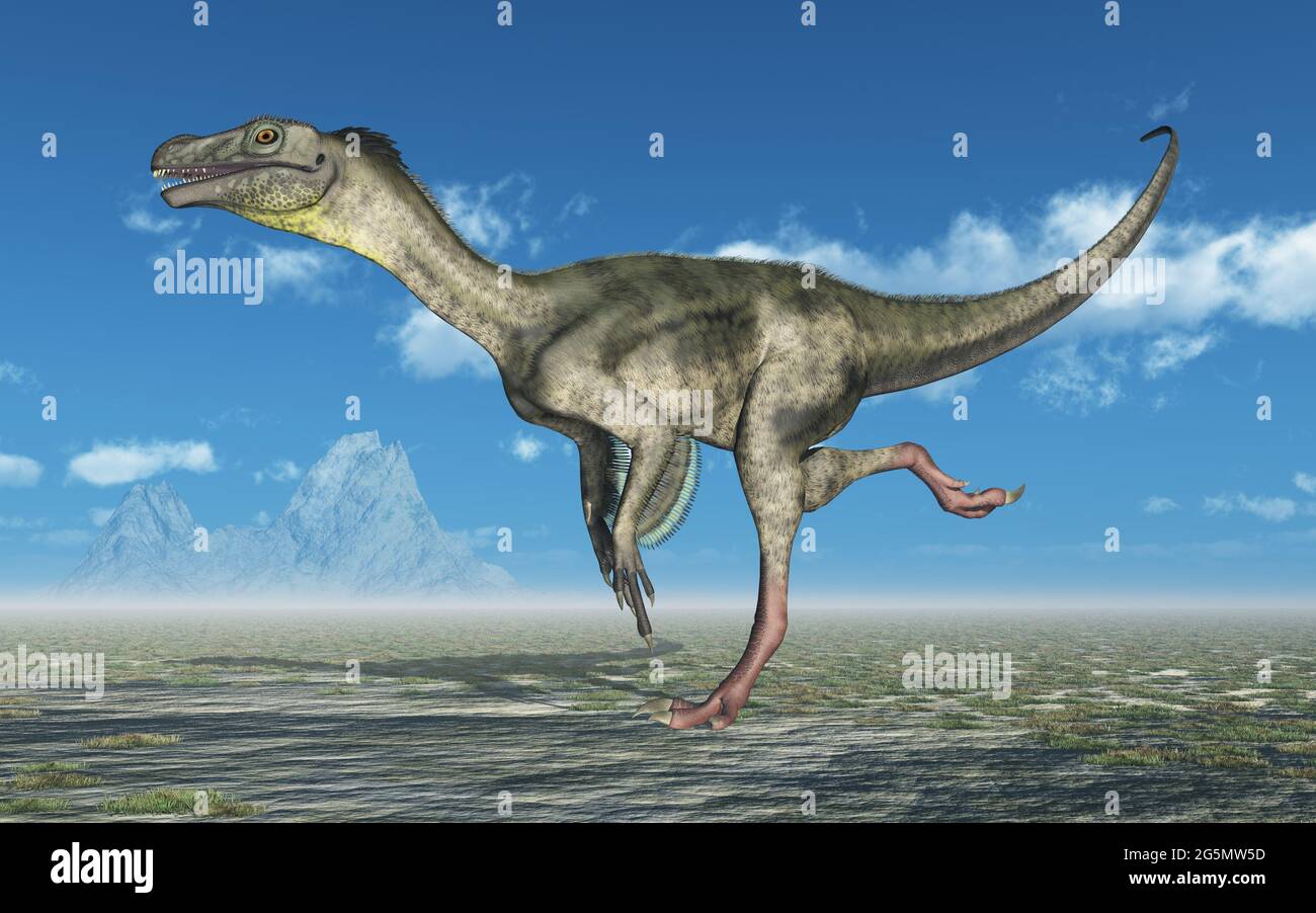 Dinosaur Ornitholestes in a landscape Stock Photo - Alamy