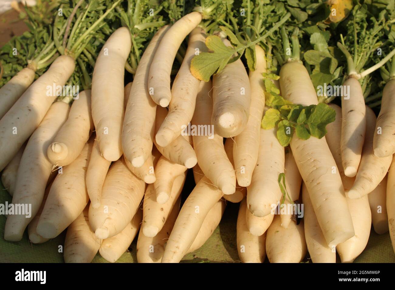 Heap of fresh daikon radish stacked at the market Stock Photo - Alamy