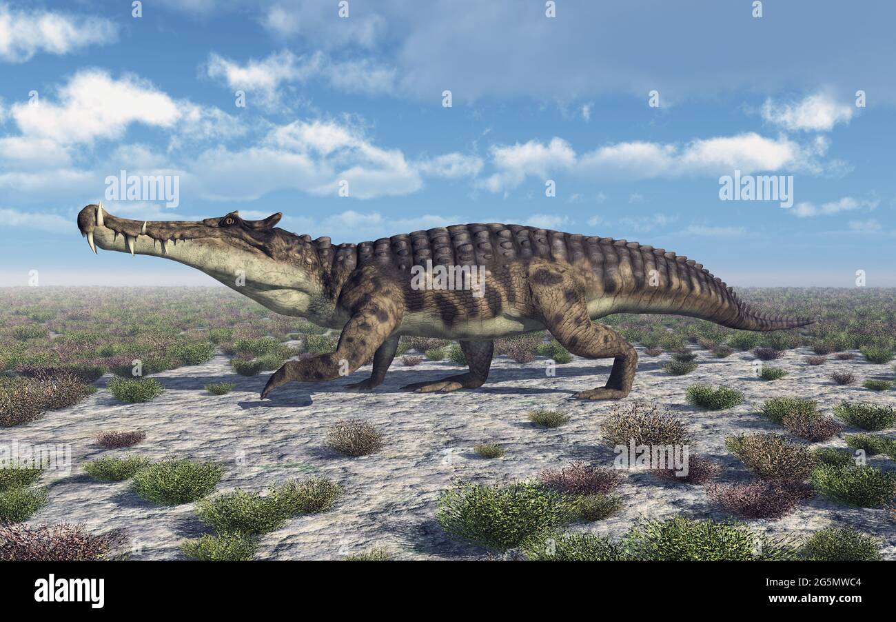 Prehistoric crocodile Kaprosuchus in a landscape Stock Photo - Alamy