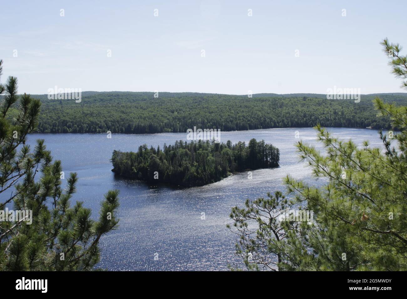 Blue lake or river surrounded by green dense forests in Algonquin ...