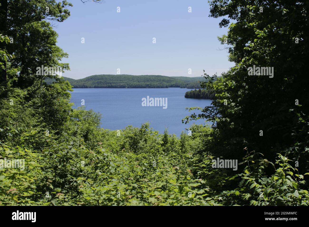 Blue lake or river surrounded by green dense forests and hills in ...