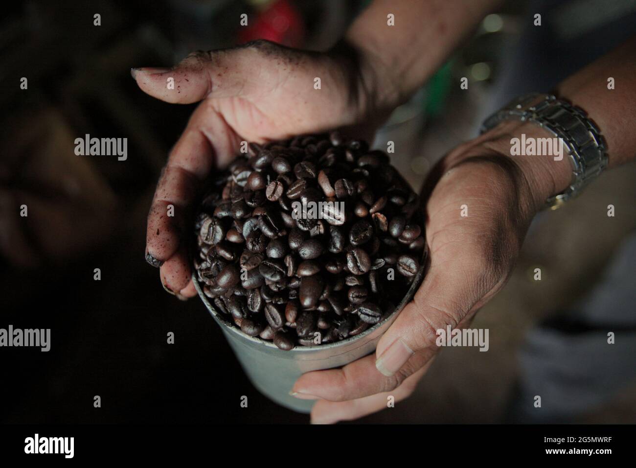 Toraja coffee beans hi-res stock photography and images - Alamy