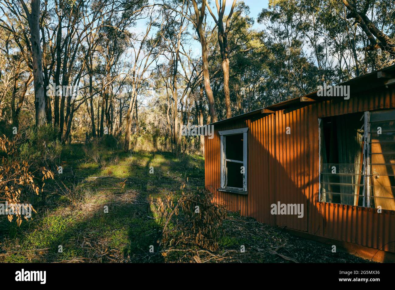 Abandoned orange bush shack nestled in the scenic Australian bush Stock ...