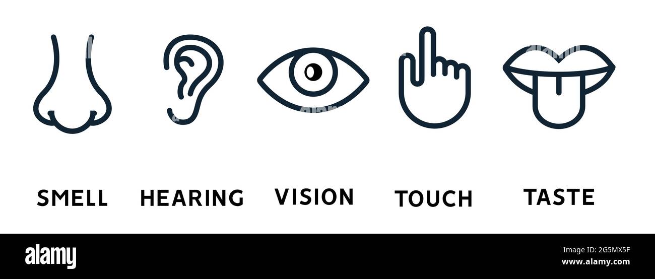 Five human senses vision eye, smell nose, hearing ear, touch hand ...