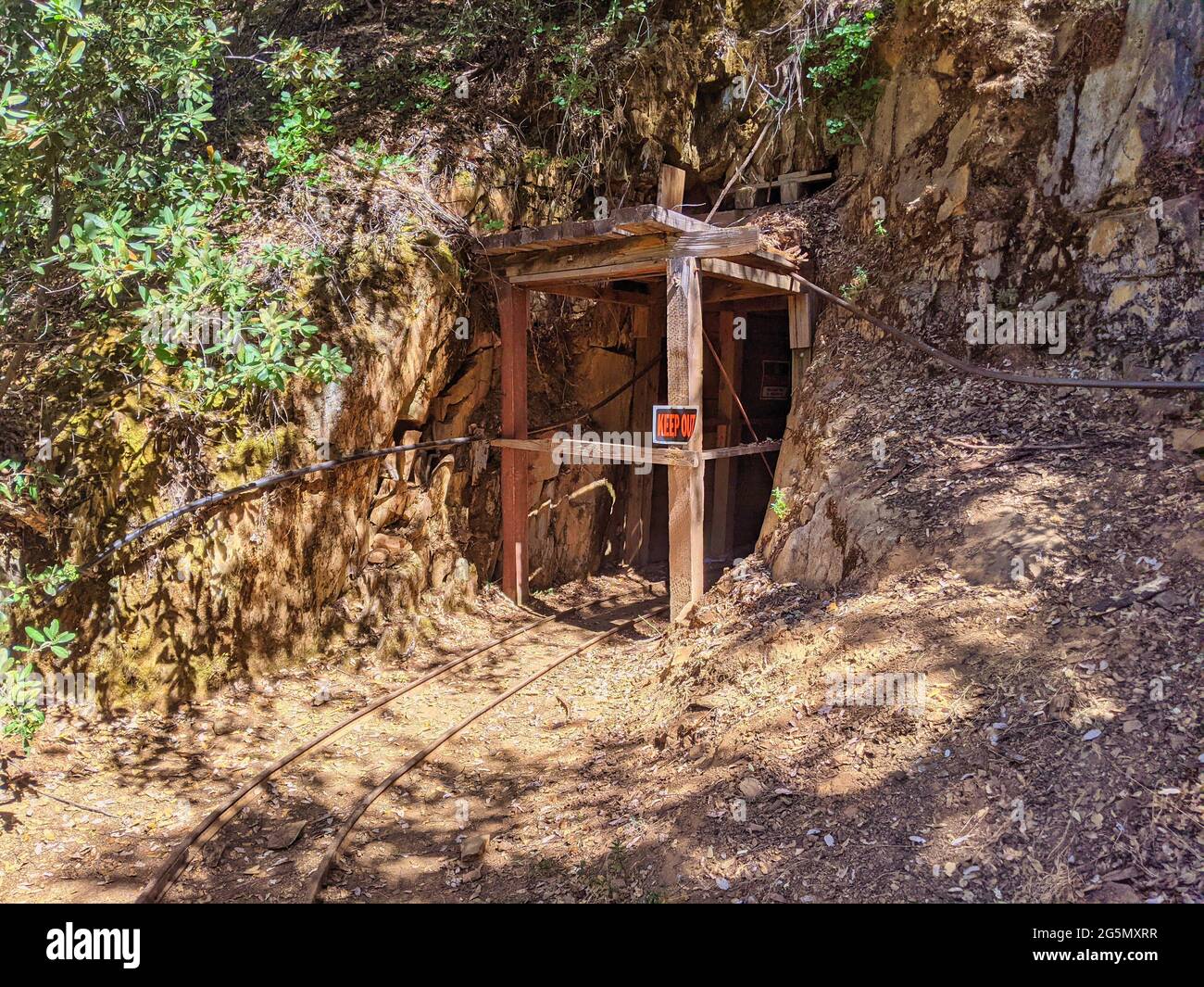 Small wooden entry in a forest with a keep out sign Stock Photo - Alamy