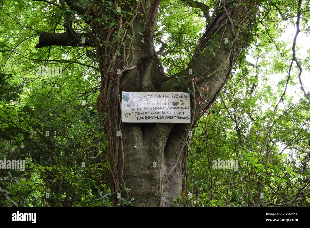 Sign warning dog owners of dog thieves and about adder snake bites on ...