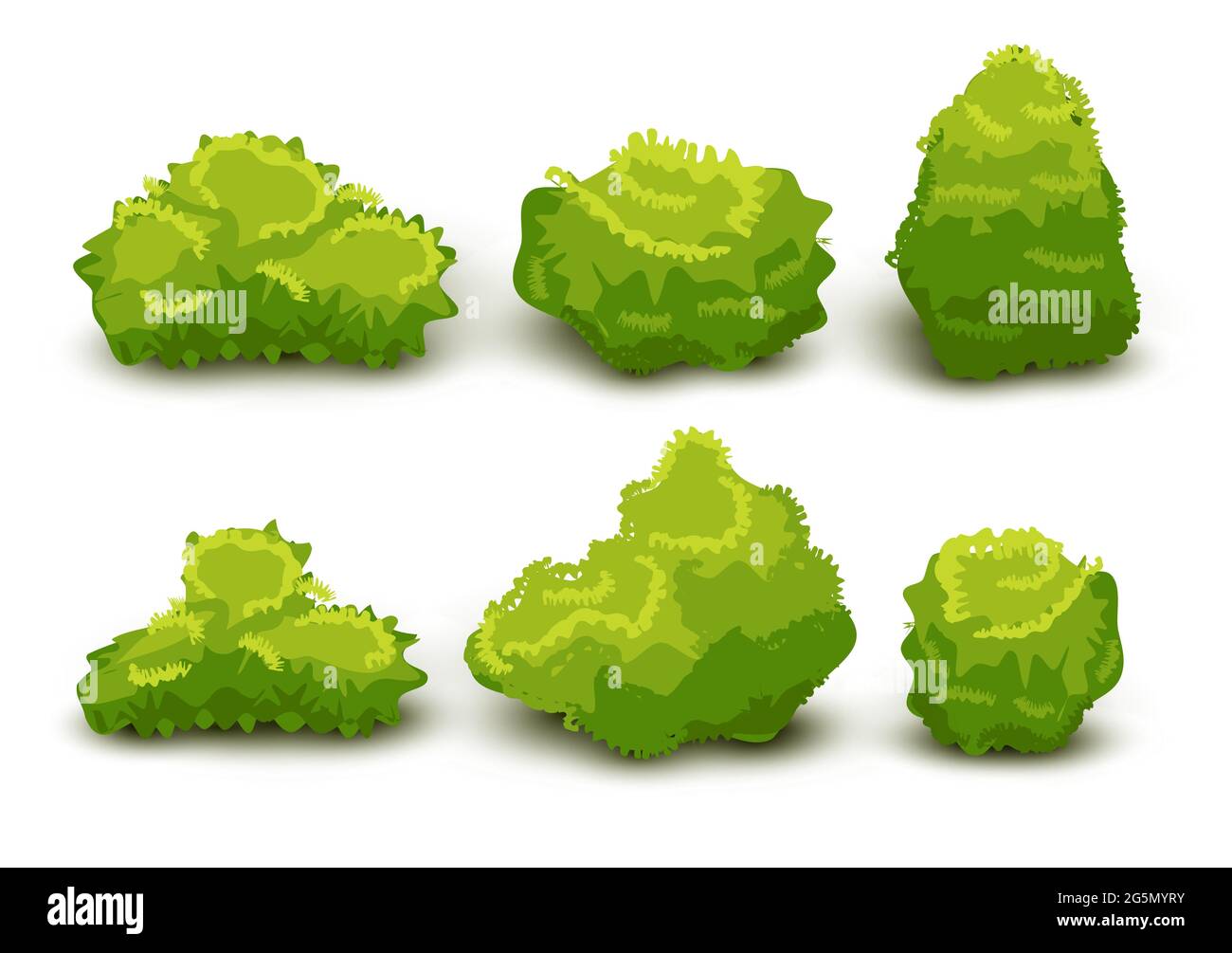 Vector garden bush isolated shrub hedge. Green bush cartoon grass ...