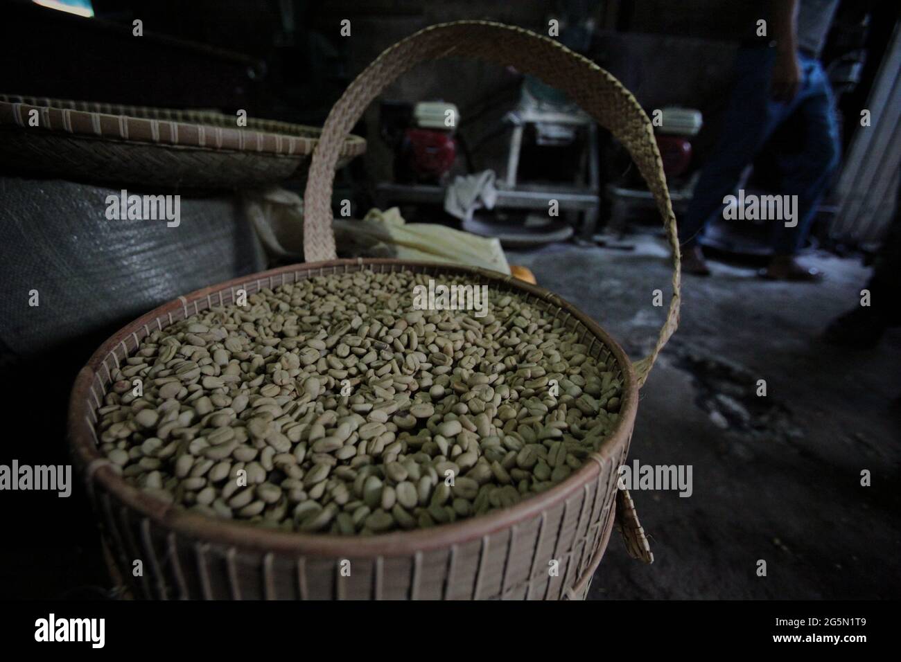 Un-roasted coffee beans at a coffee processing and coffee vendor of ...