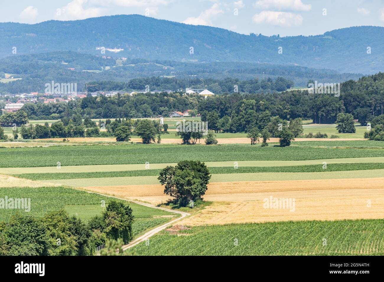 Winzer wald hi-res stock photography and images - Alamy