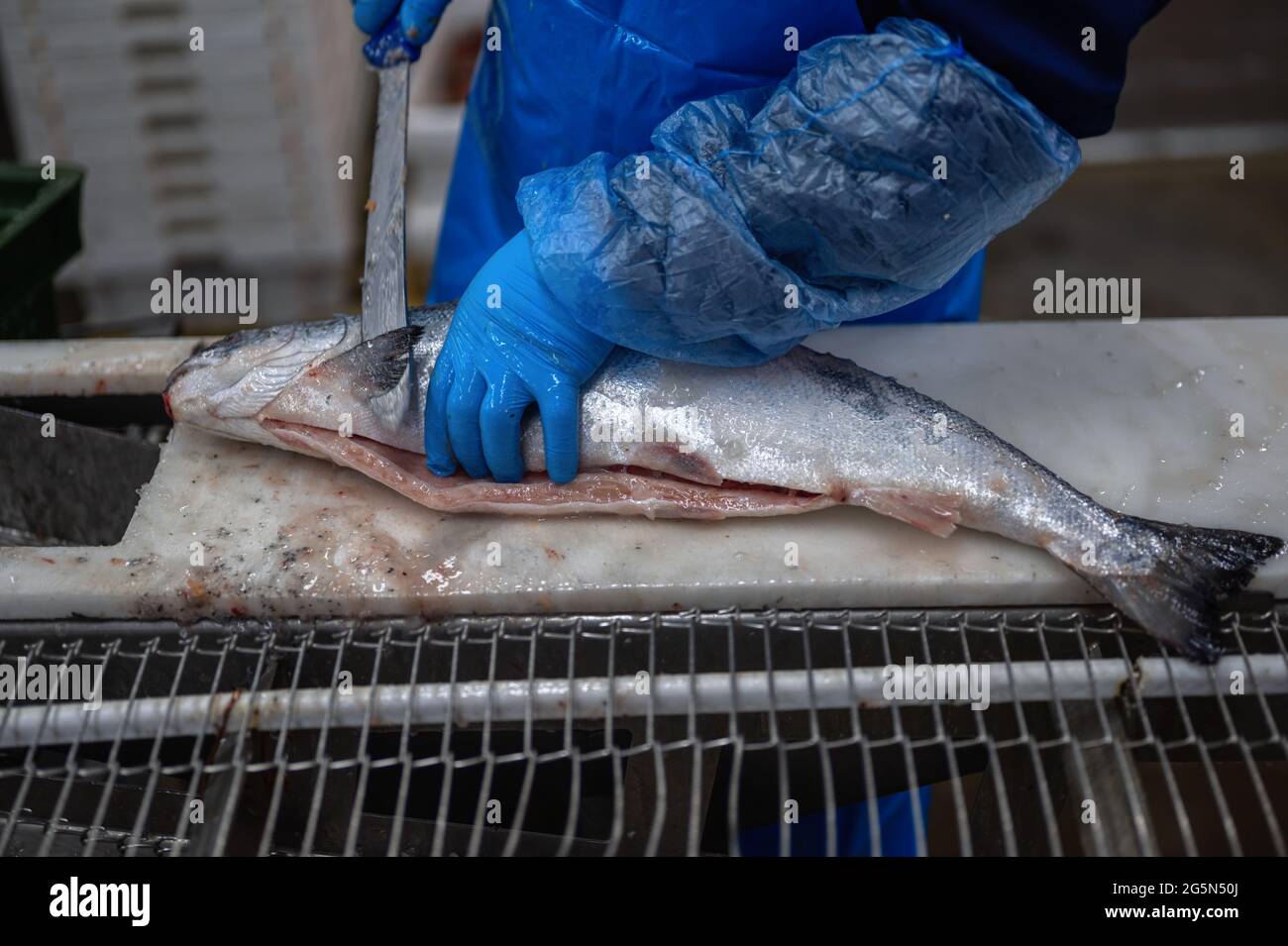 Incision fish hi-res stock photography and images - Alamy