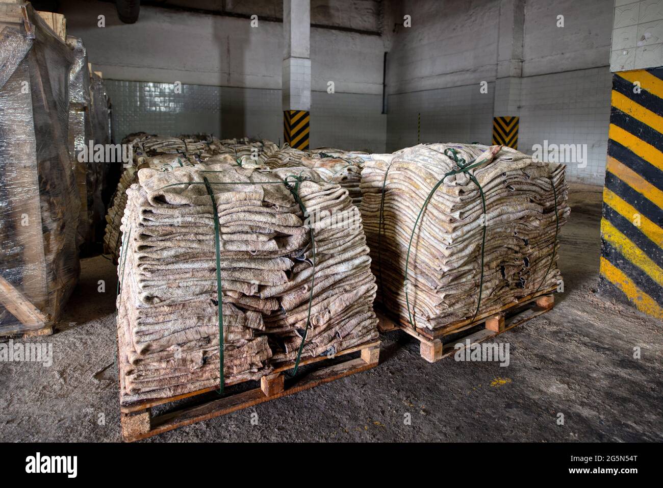 Raw salted cow skins are piled up Stock Photo - Alamy