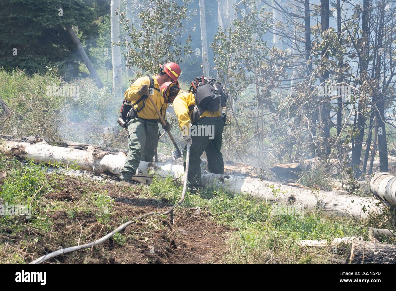 A handcrew of firefighters build a firebreak on the edge of a burned ...
