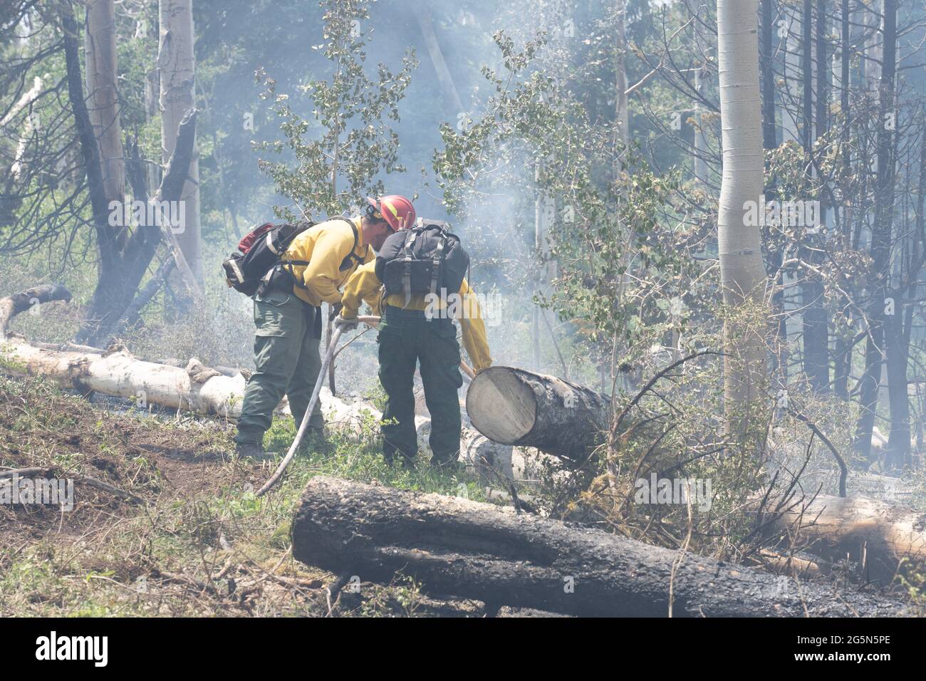 A handcrew of firefighters build a firebreak on the edge of a burned ...