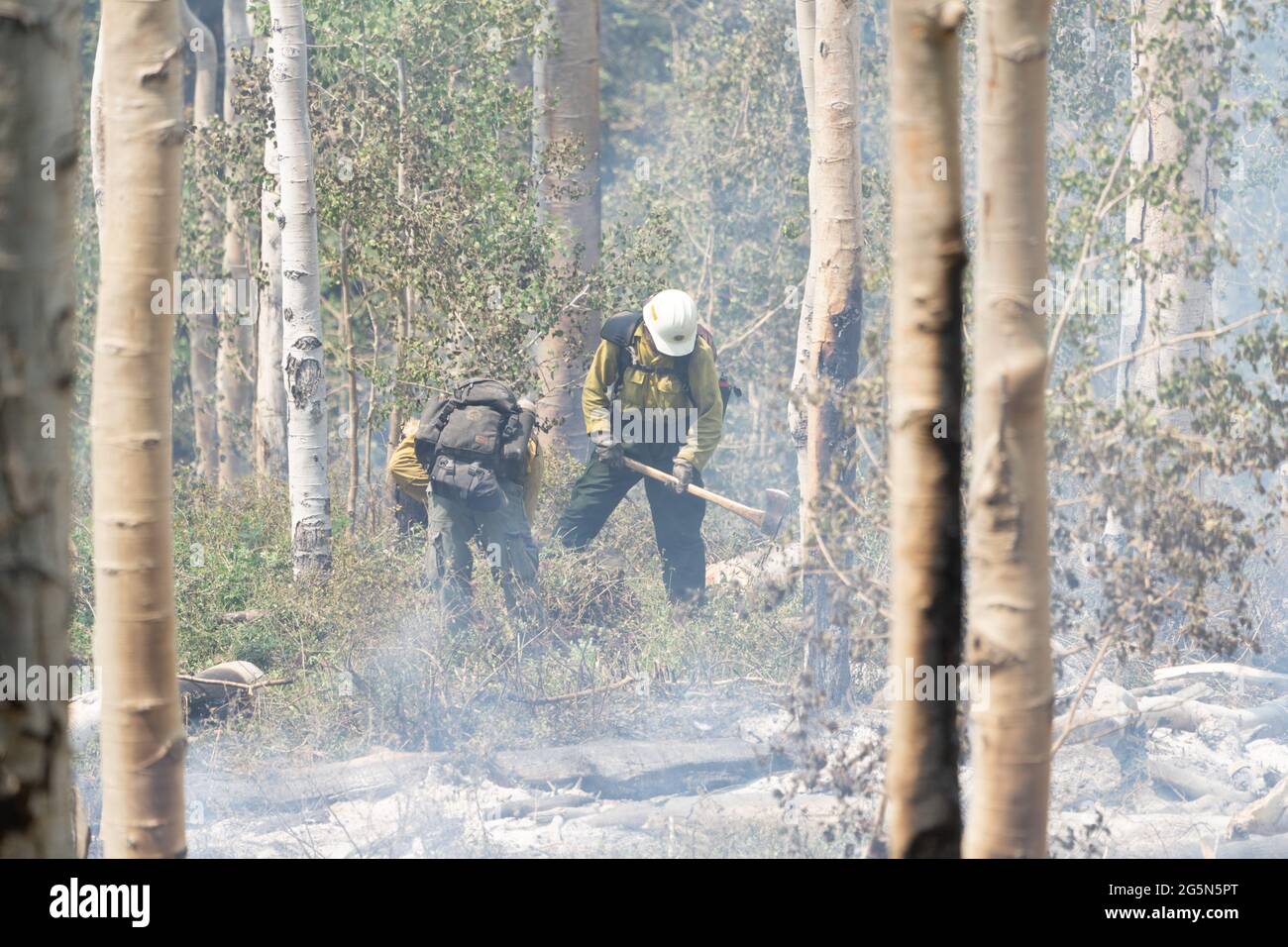 A handcrew of firefighters build a firebreak on the edge of a burned ...