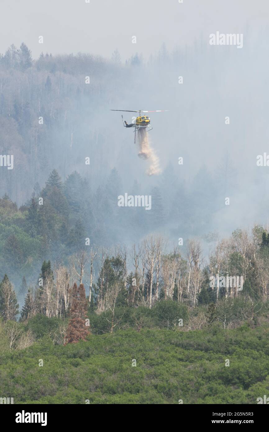Bell 205 a1 firefighting helicopter hi-res stock photography and images ...