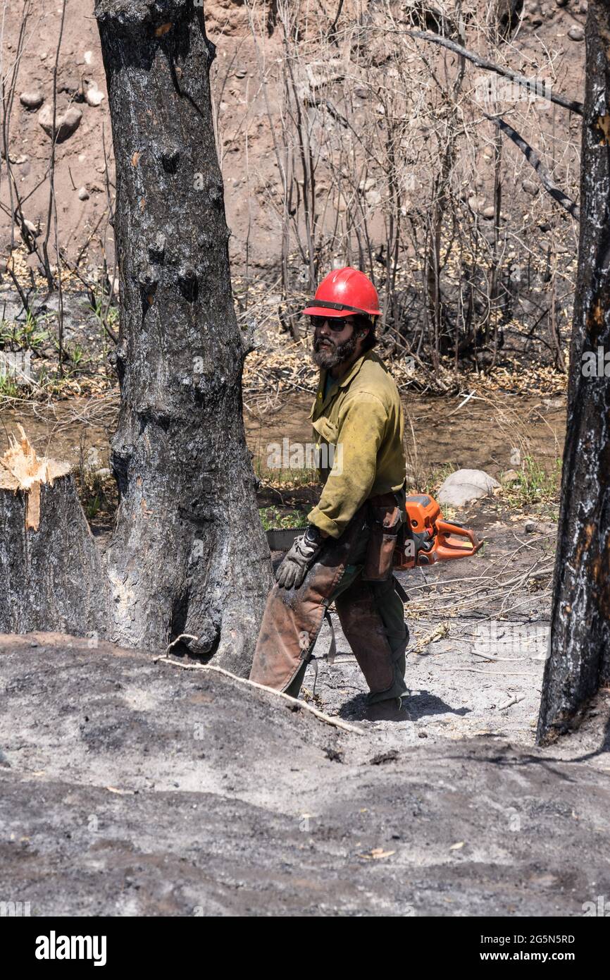 Chainsaw chaps hi-res stock photography and images - Alamy
