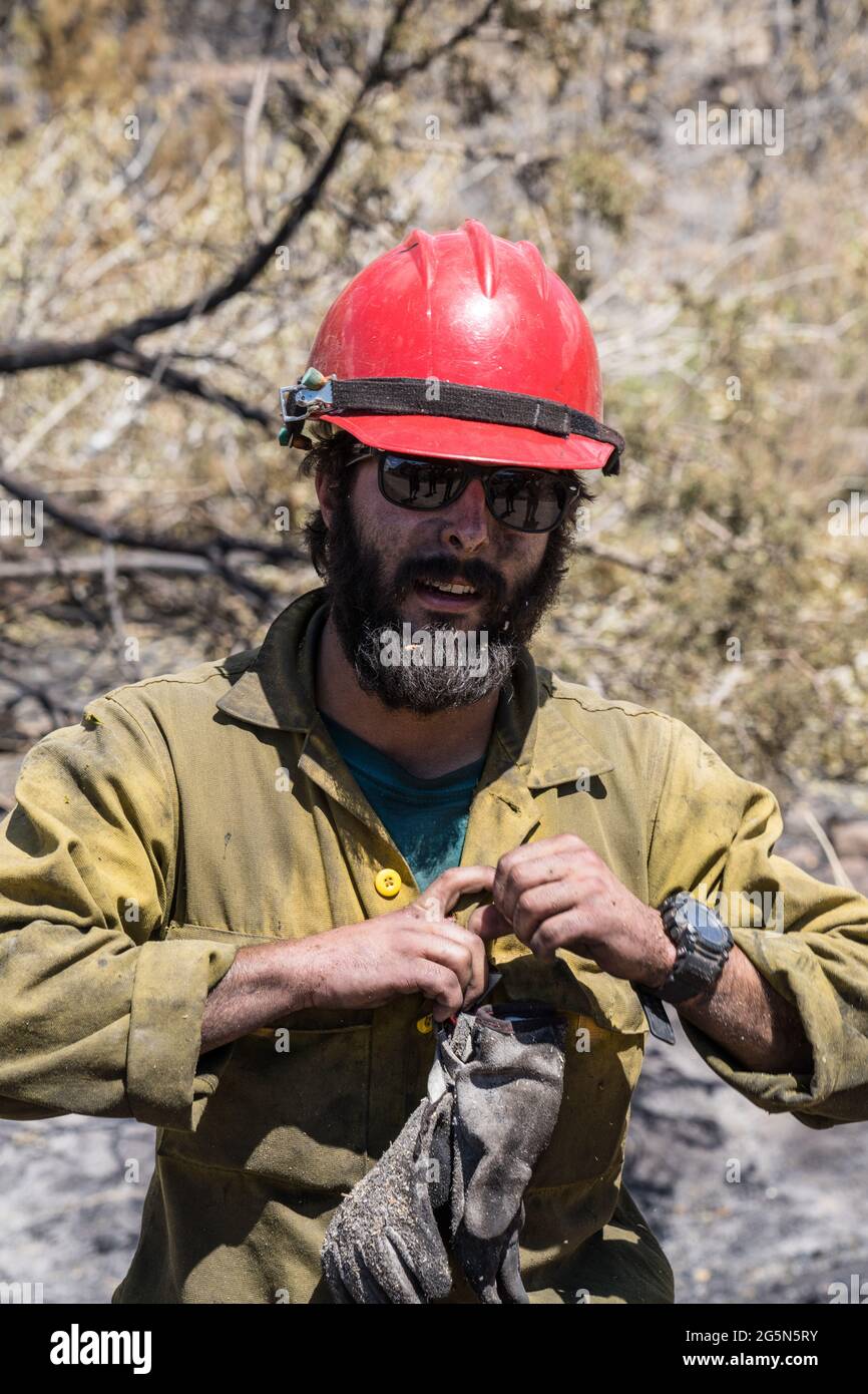 Fire resistant wood hi-res stock photography and images - Alamy