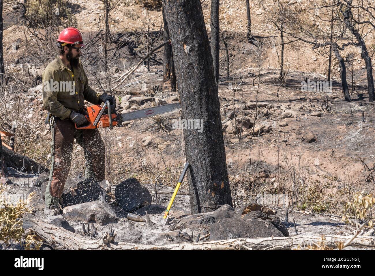 Fire resistant wood hi-res stock photography and images - Alamy