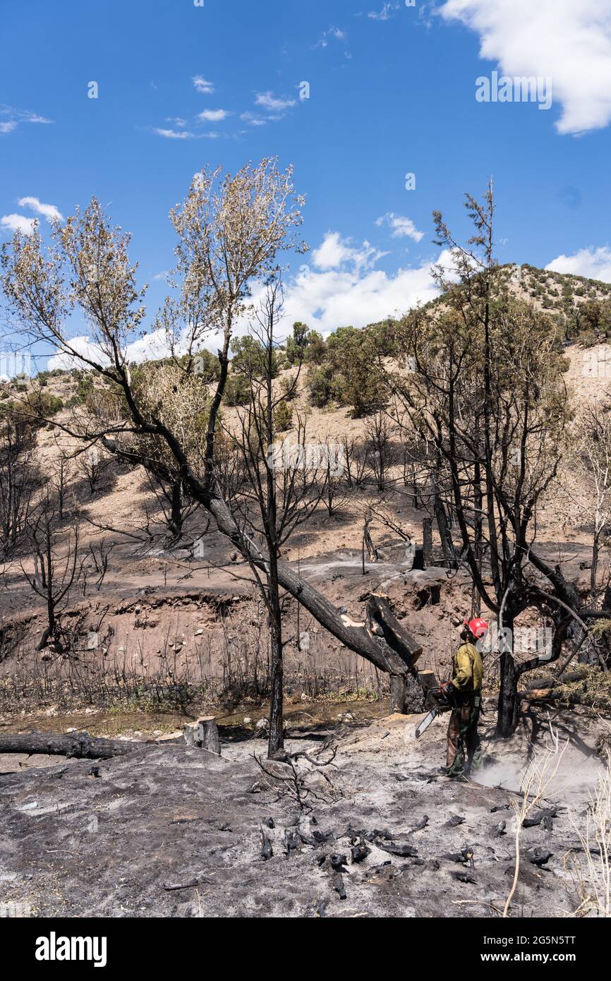 Hotshot forest fire hi-res stock photography and images - Alamy