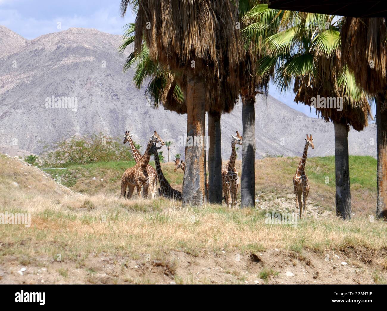 Palm Desert, California, USA 24th June 2021 A general view of ...