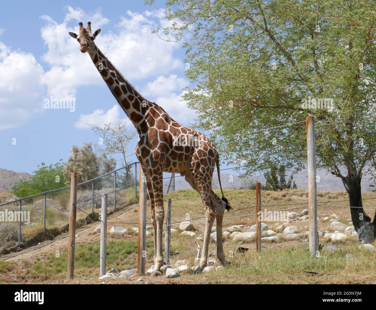 Palm Desert, California, USA 24th June 2021 A general view of ...