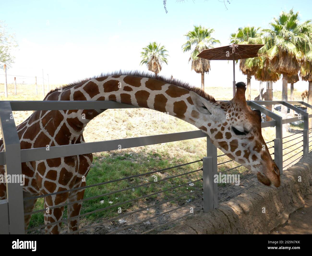 Palm Desert, California, USA 24th June 2021 A general view of ...