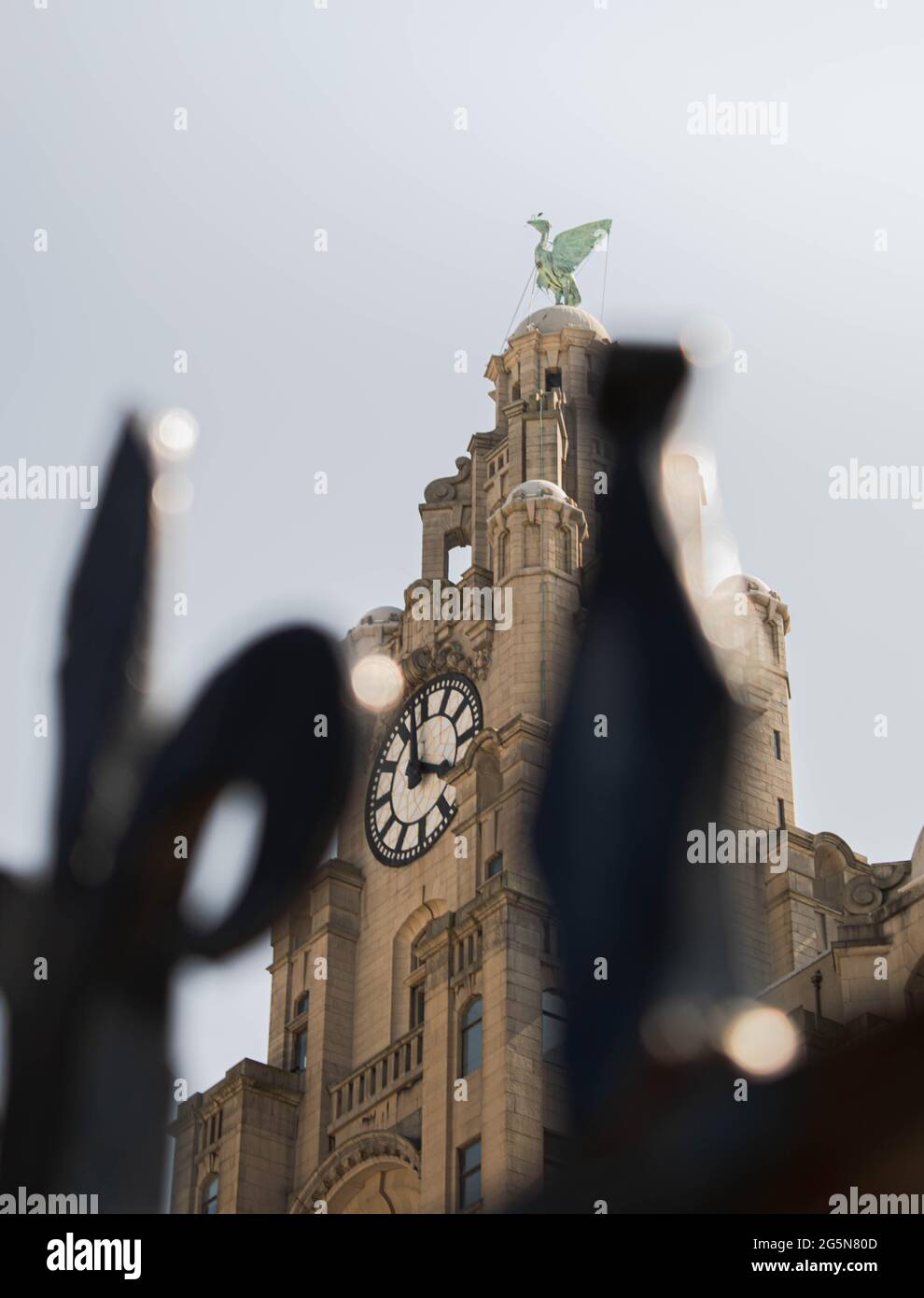 Liver pool hi-res stock photography and images - Alamy