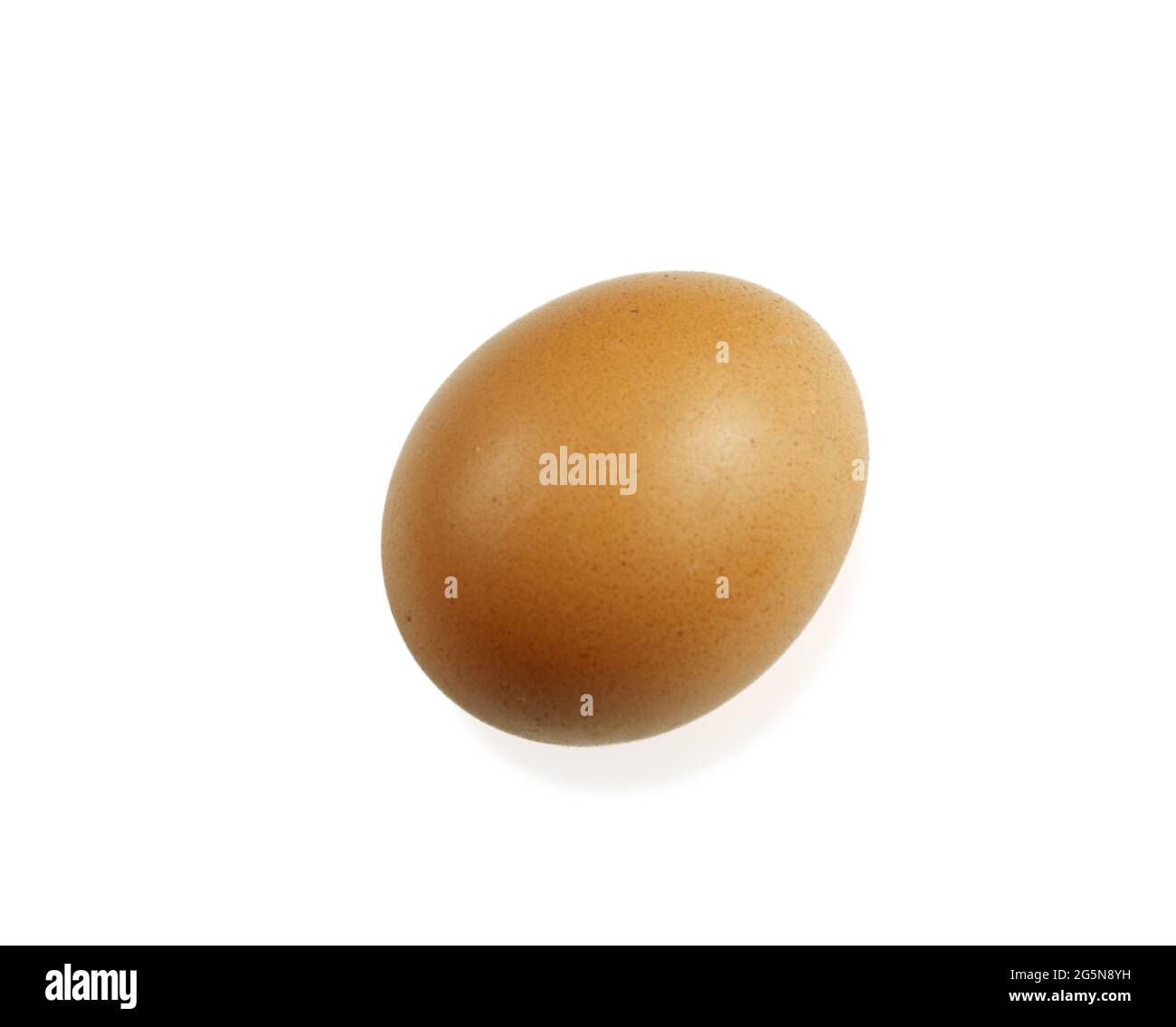 One chicken egg isolated white background agricultural farm produce ...