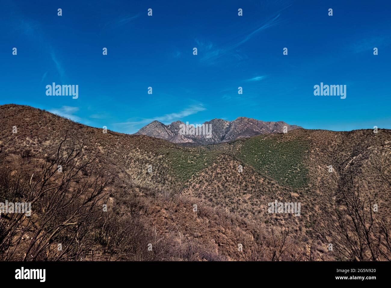 View of the Four Peaks Wilderness, Tonto National Forest, Arizona, U.S ...