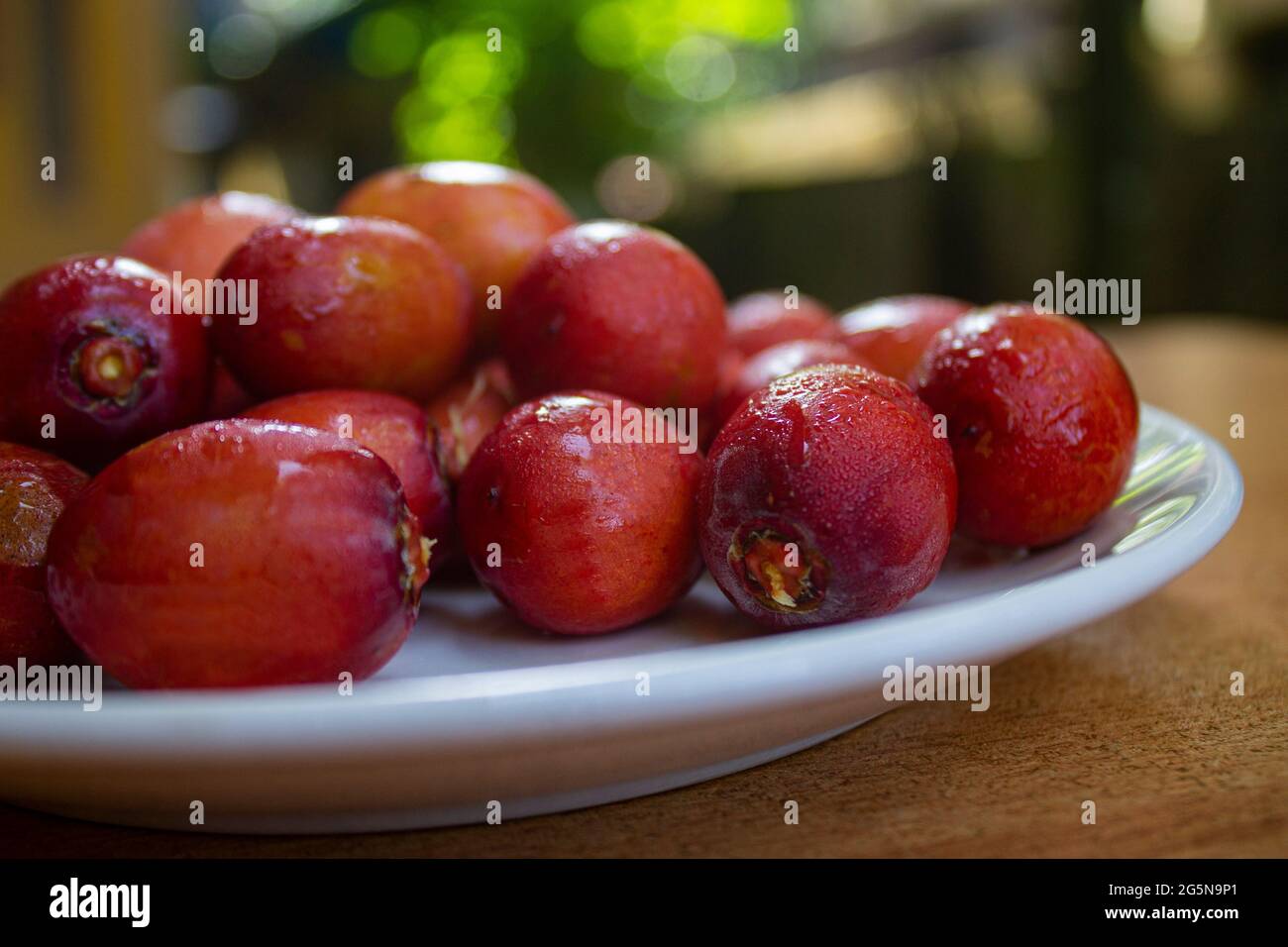 Red dates isolated on a ceramic plate Stock Photo - Alamy