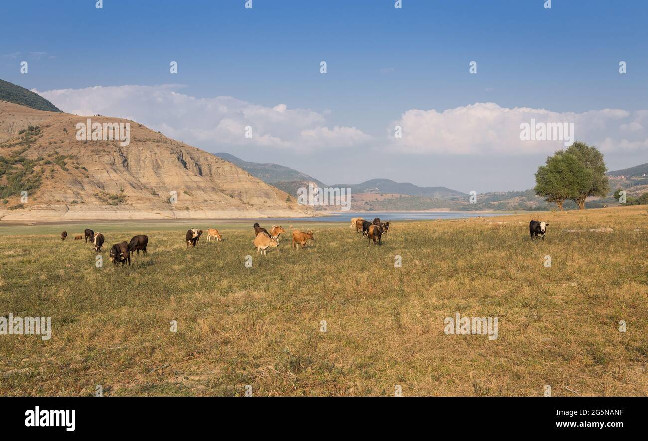 Milk river dam hi-res stock photography and images - Alamy