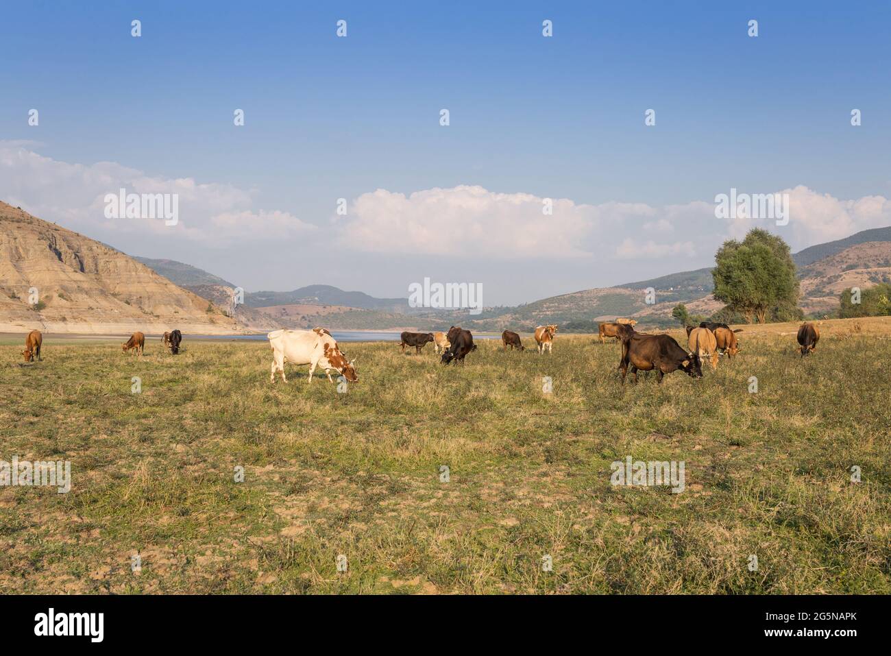 Milk river dam hi-res stock photography and images - Alamy