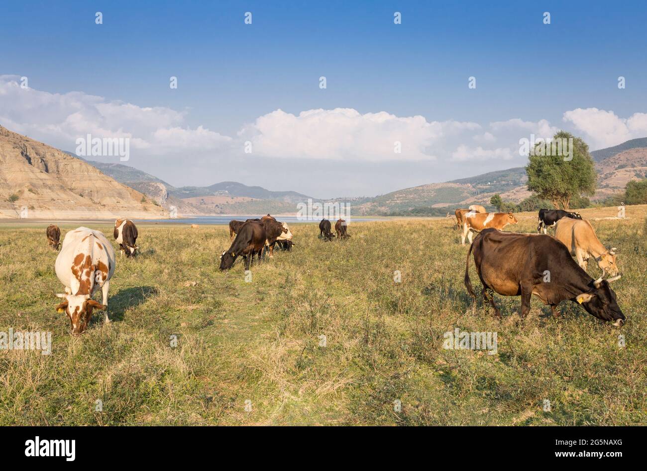 Milk river dam hi-res stock photography and images - Alamy
