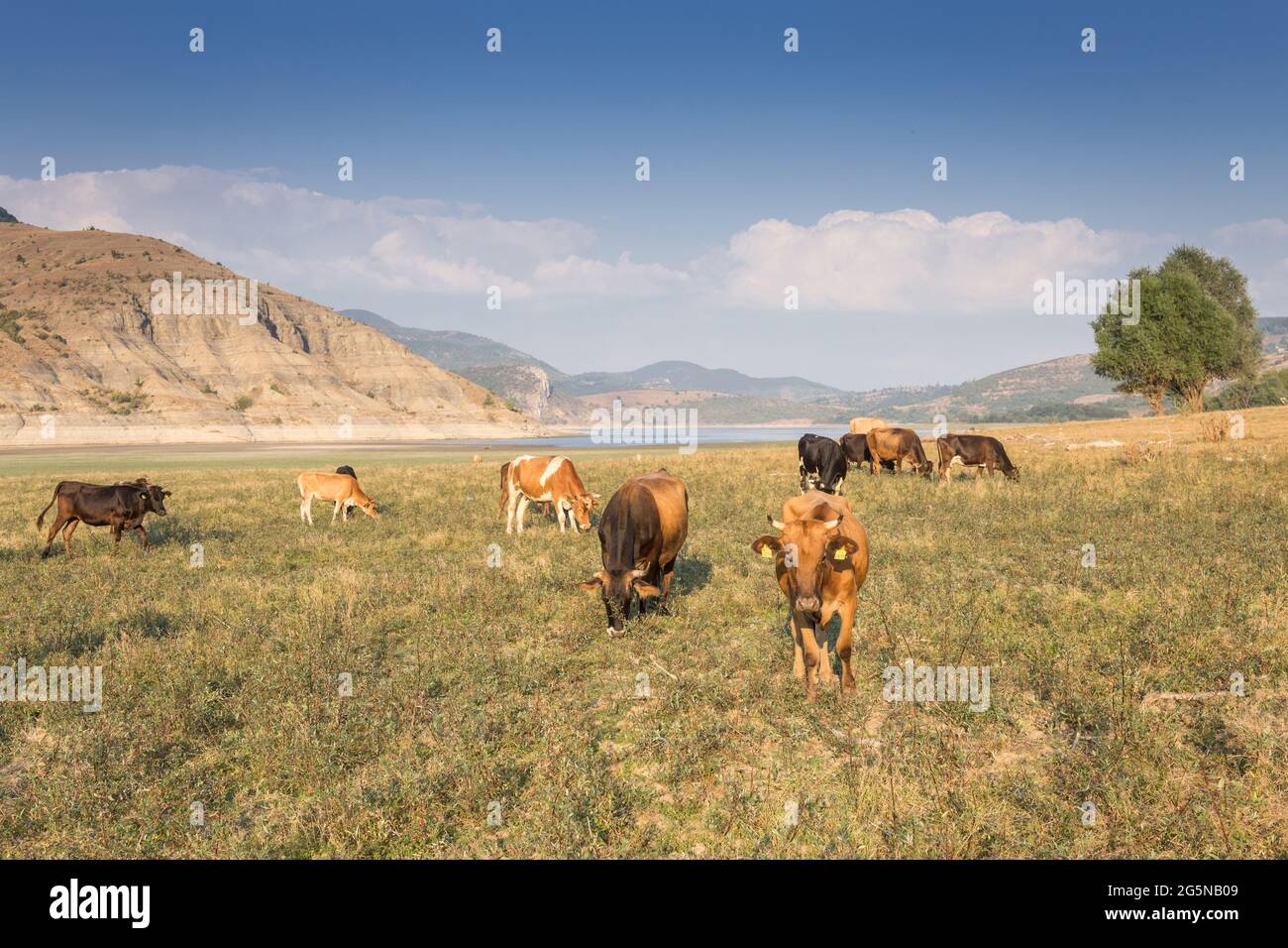 Milk river dam hi-res stock photography and images - Alamy