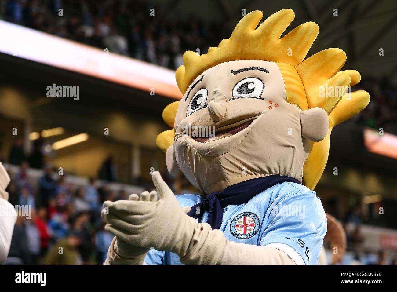 Soccer Mascot At Stadium High Resolution Stock Photography and Images ...