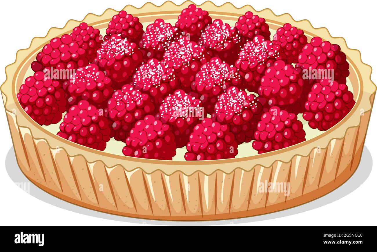 Close up view of Rasberry pie isolated on white background illustration ...